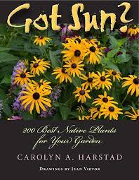 Best native plants for Midwest gardens - The Plant Native