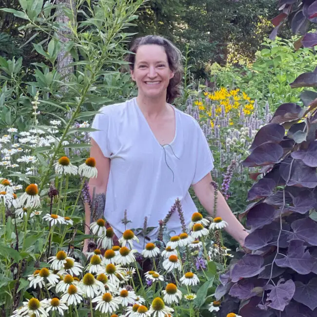The Best Native Plants for Southwestern Gardens - The Plant Native
